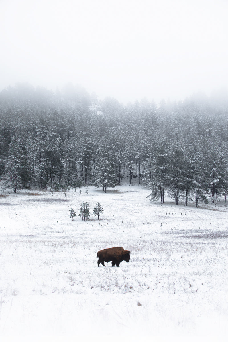 Lone Drifter – Black Hills Stickers & Apparel