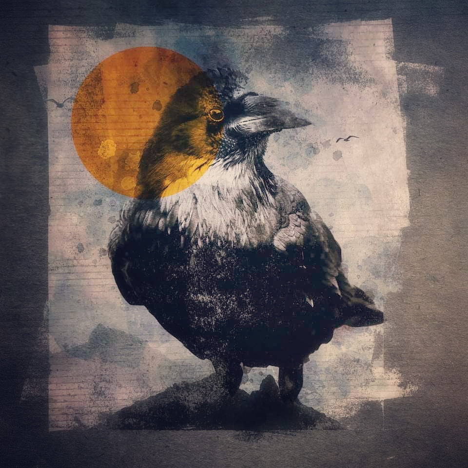 Raven with the Sun – Black Hills Stickers & Apparel